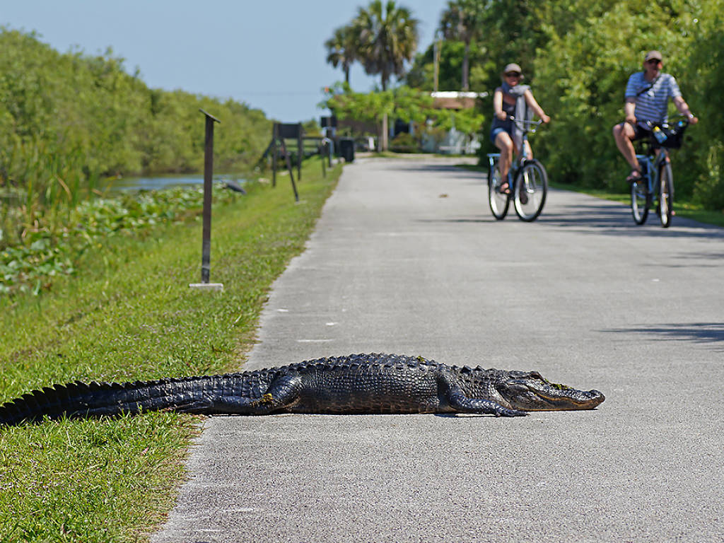 18 Best Bike Trails in the U.S. Worthy of a Trip