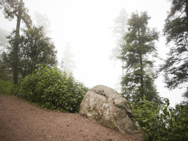 Parque Nacional Cumbres del Ajusco