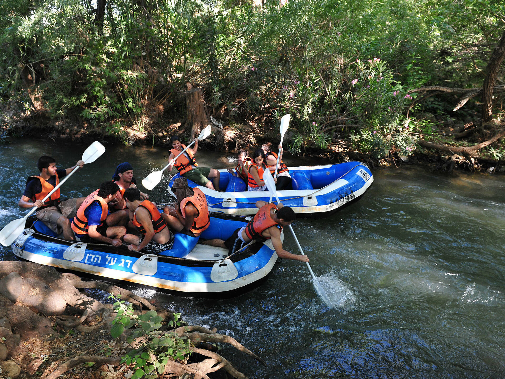 Golan Heights must-see sites - the best attractions in the north