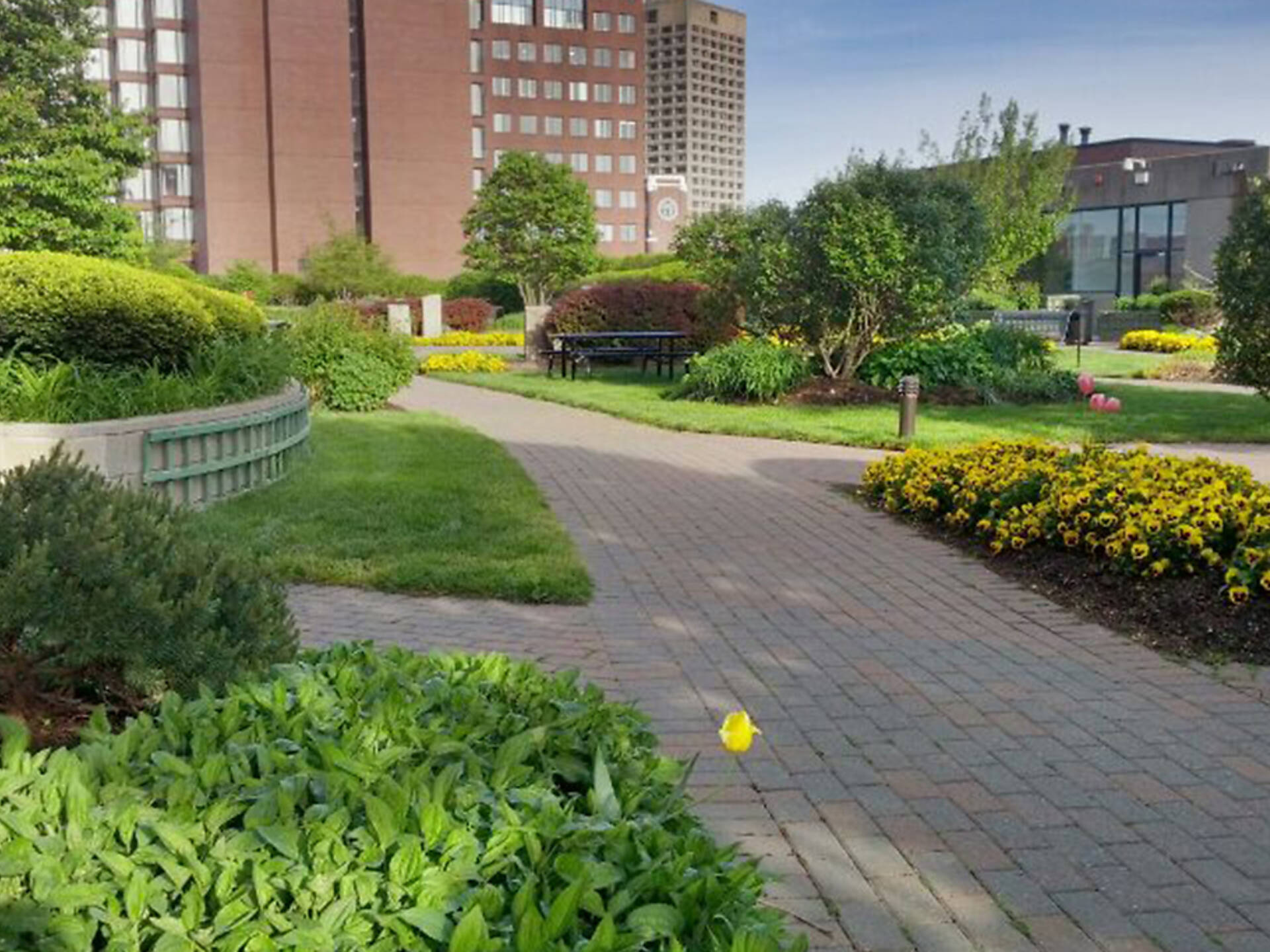 Kendall Square Neighborhood Guide: Best Things to Do and Eat