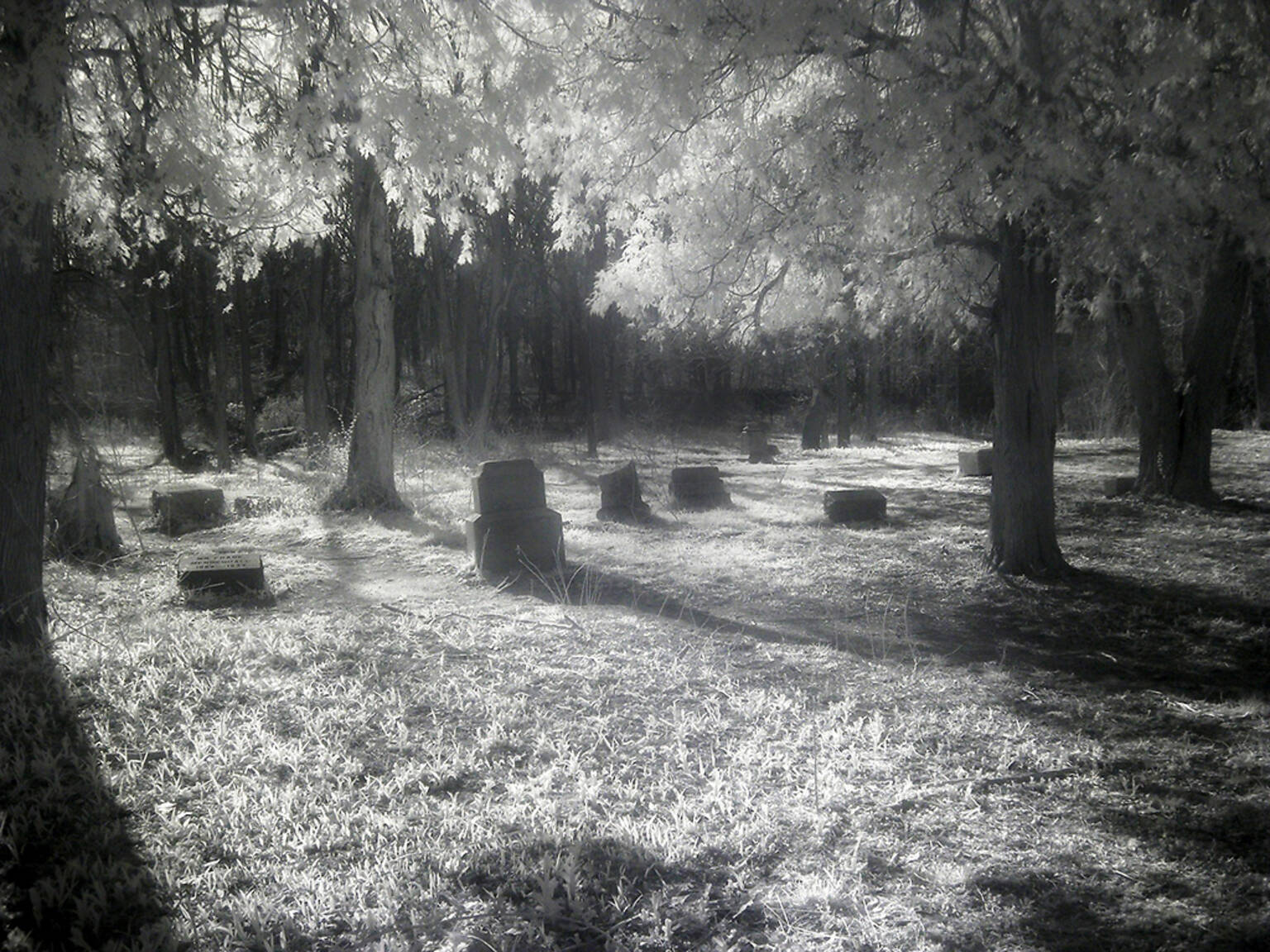 Haunted Places in Chicago: 23 Spooky Spots To Visit