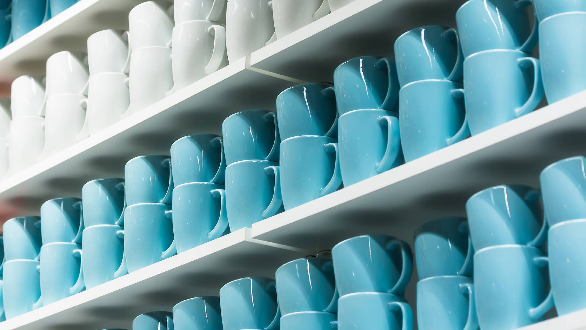 Best kitchen stores in NYC for cooking gear and restaurant tools