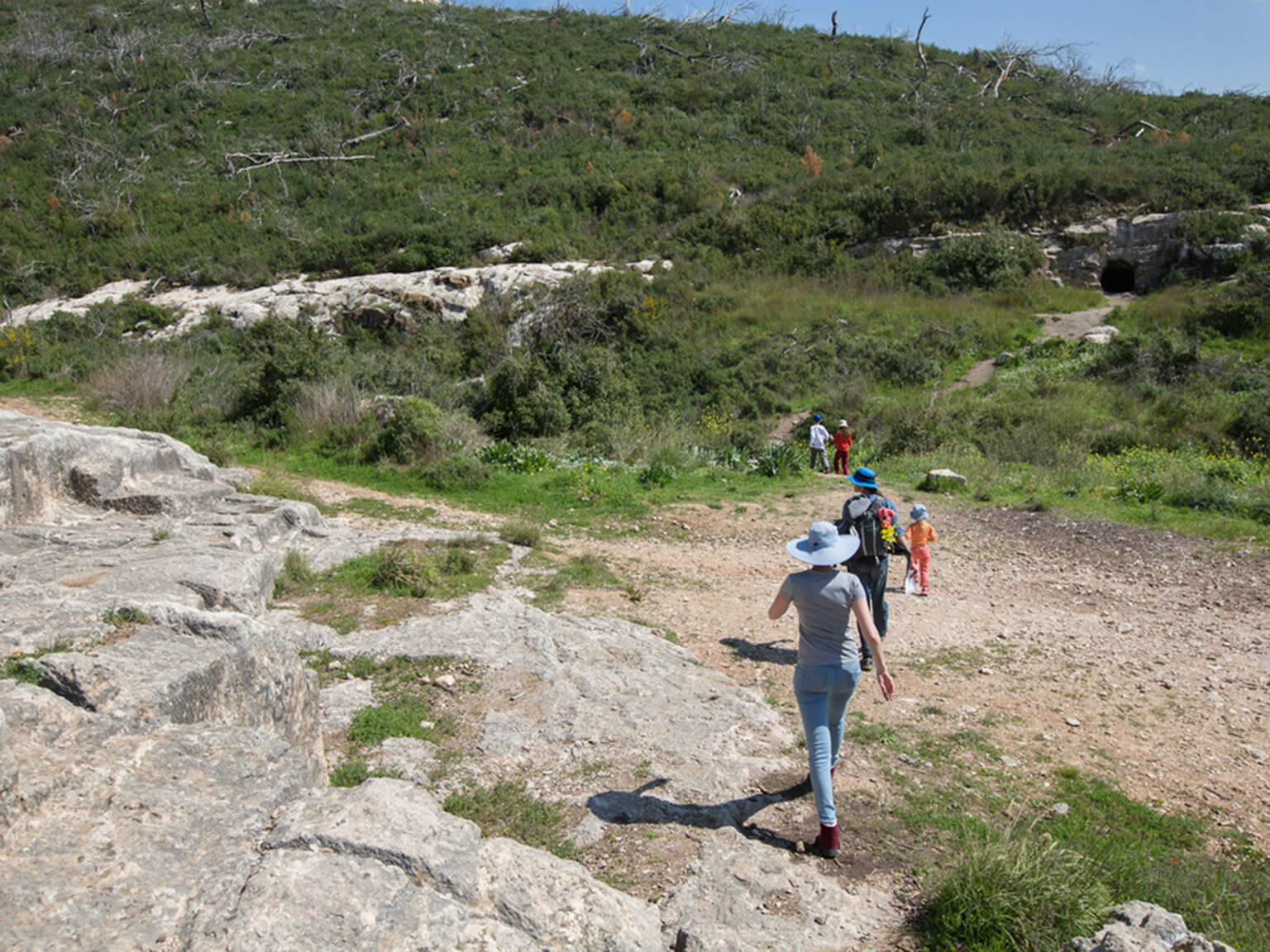 Beautifully green national parks in Israel from north to south