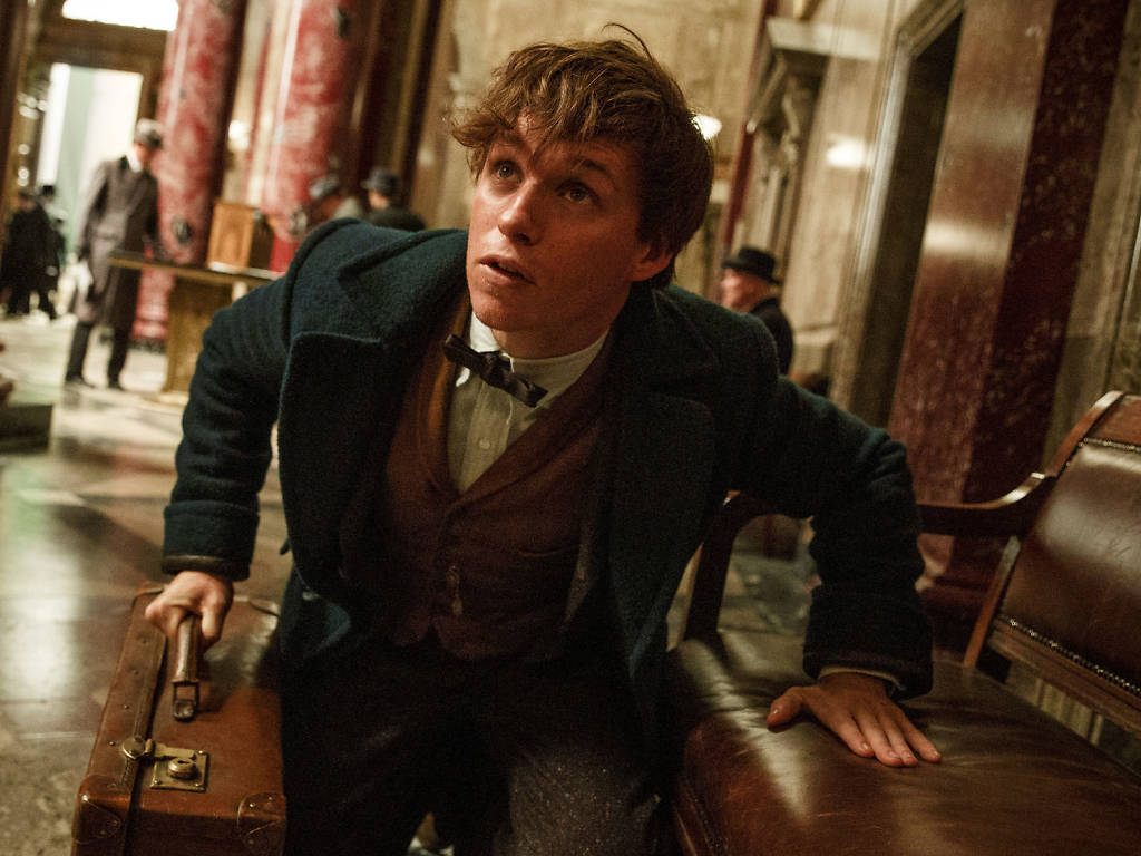 Everything you need to know about ‘Fantastic Beasts and Where to Find ...