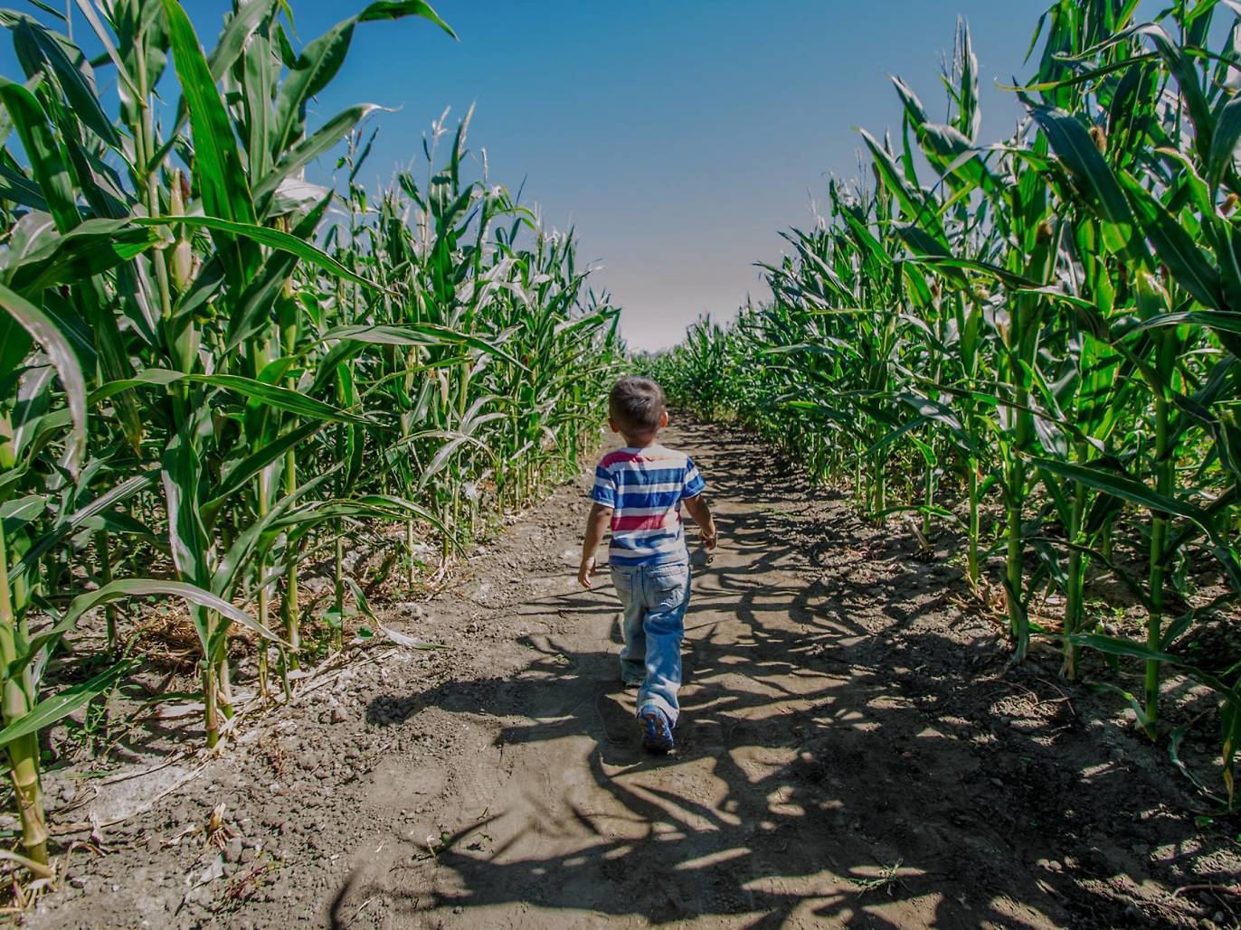 Best Things to Do in the Fall in Los Angeles | Fall Activities