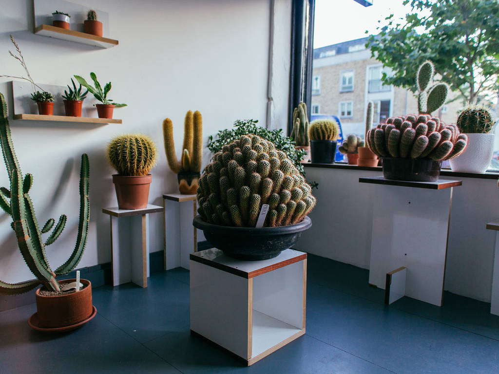 London's Most Unusual Specialist Shops | 17 Weird London Shops