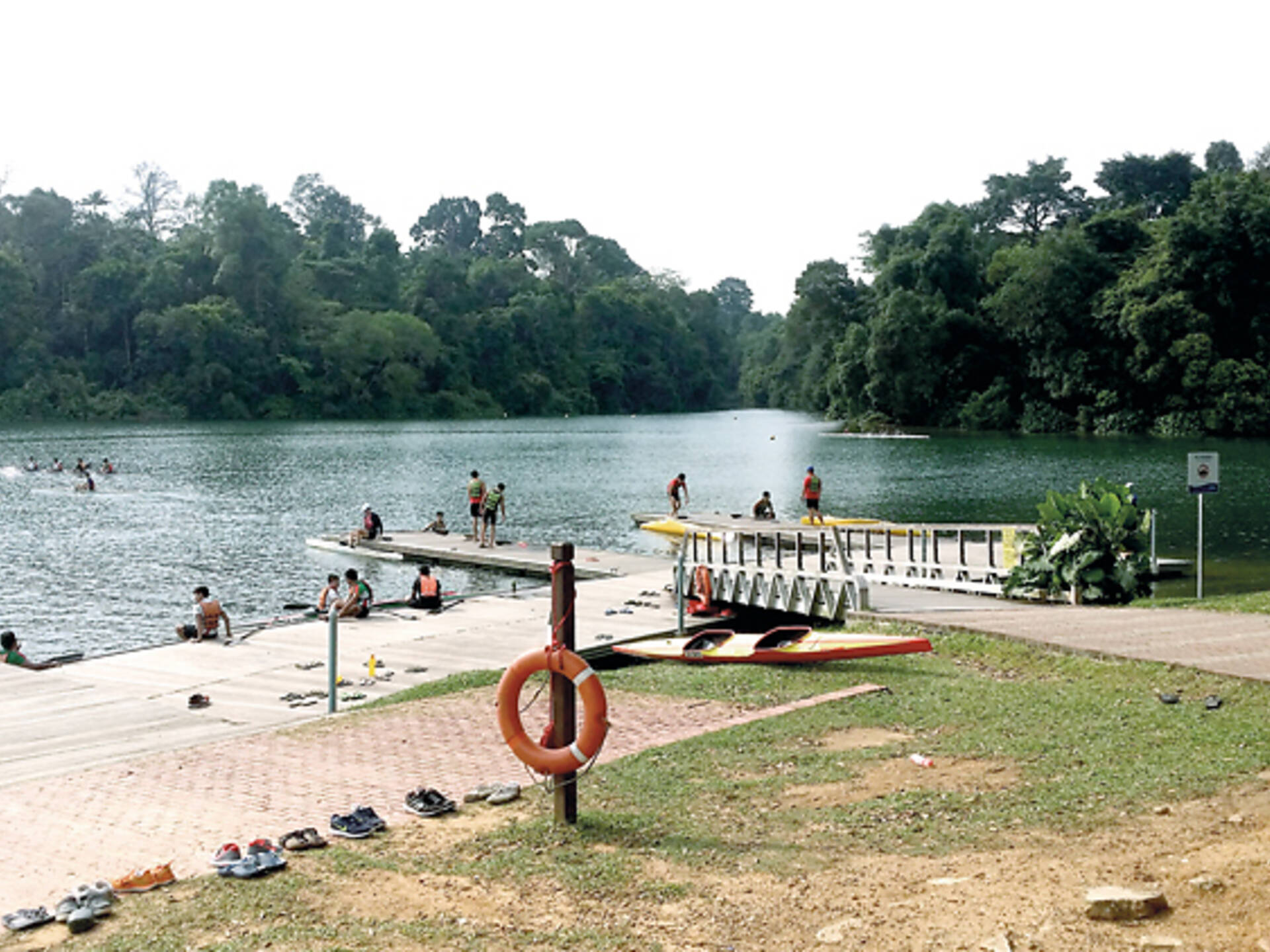 The Ultimate Guide To MacRitchie Reservoir