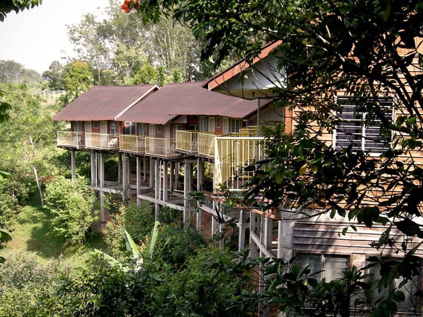 Fresh off the farm: A Little Farm On The Hill