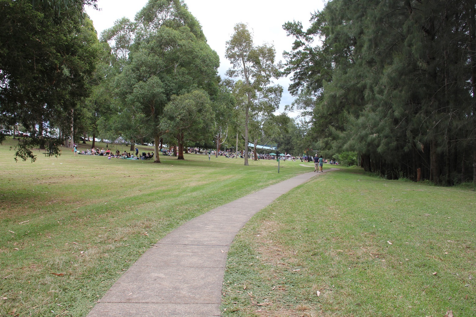 Tench Reserve | Attractions in Western Sydney, Sydney