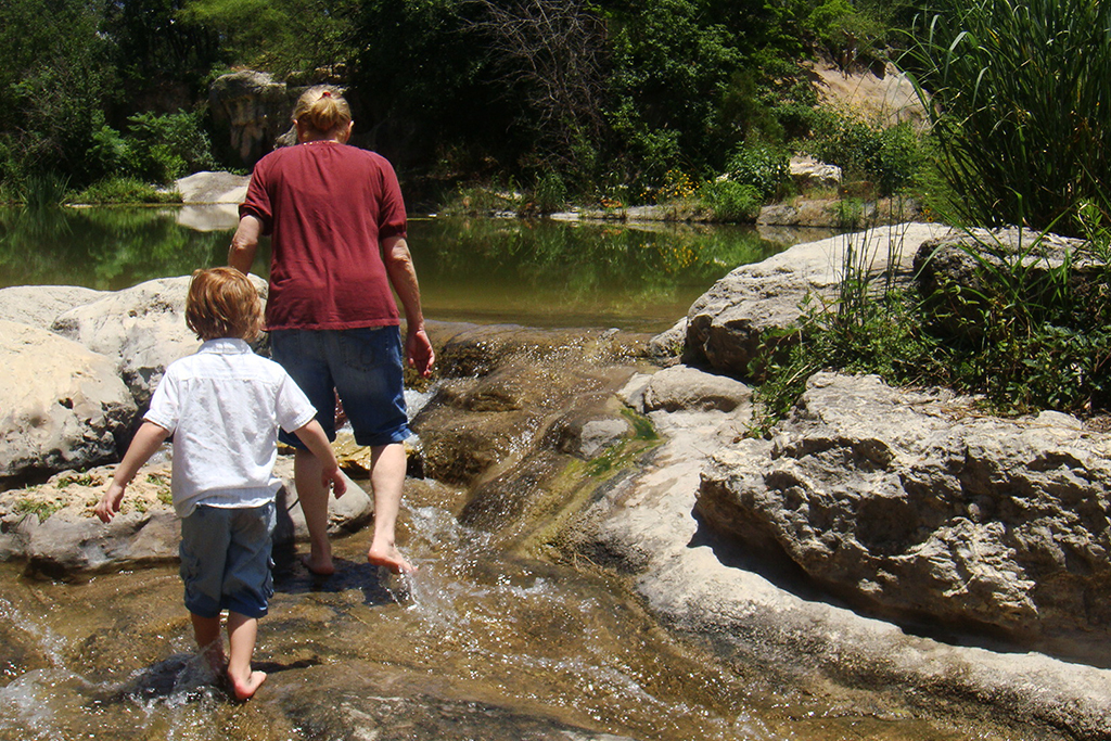 Austin Nature and Science Center | Attractions in Rollingwood, Austin