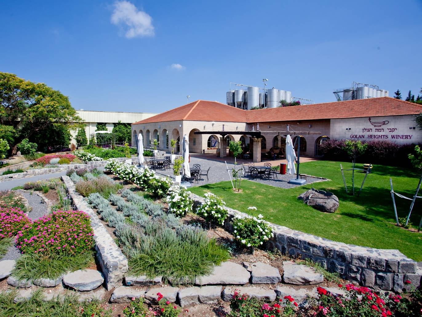 The best Israeli wine and wineries from the north to the south