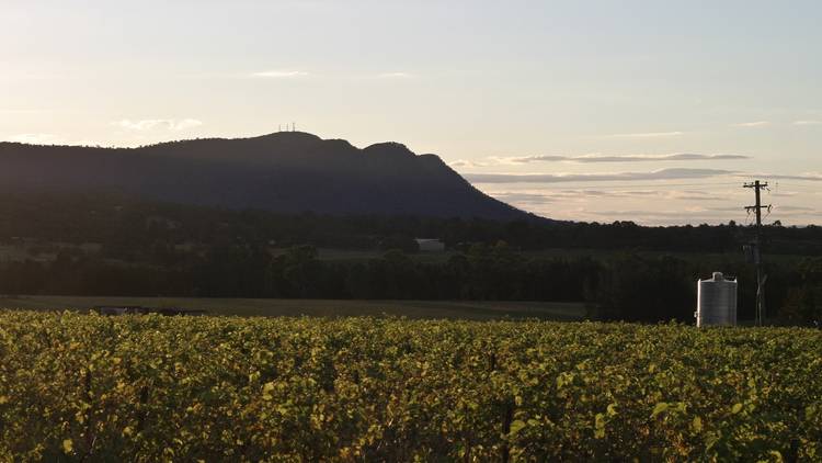 A weekend at Harkham Winery in the Hunter Valley