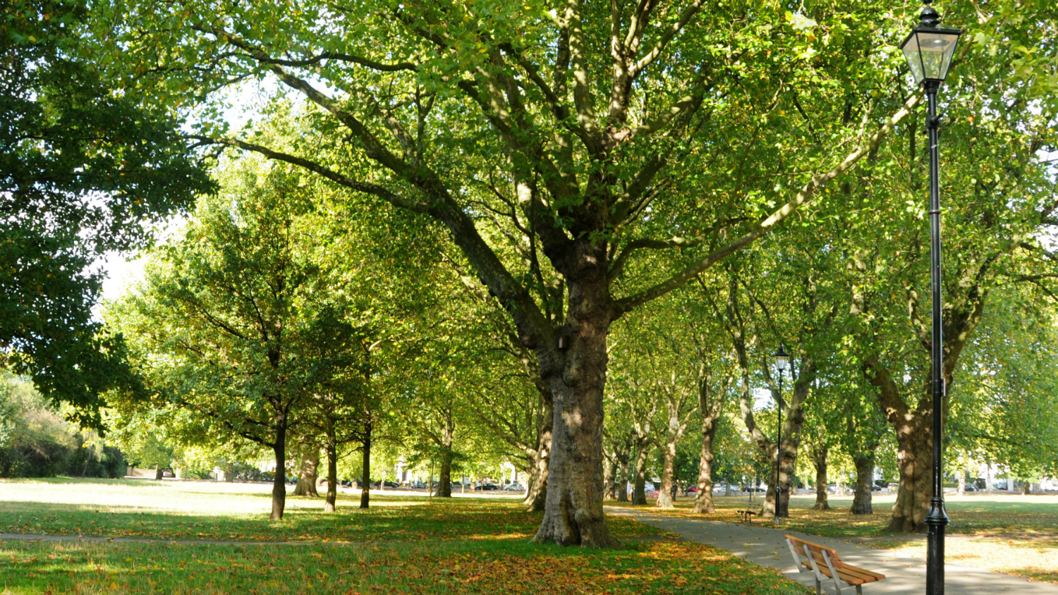 Highbury Fields | Attractions in Highbury, London