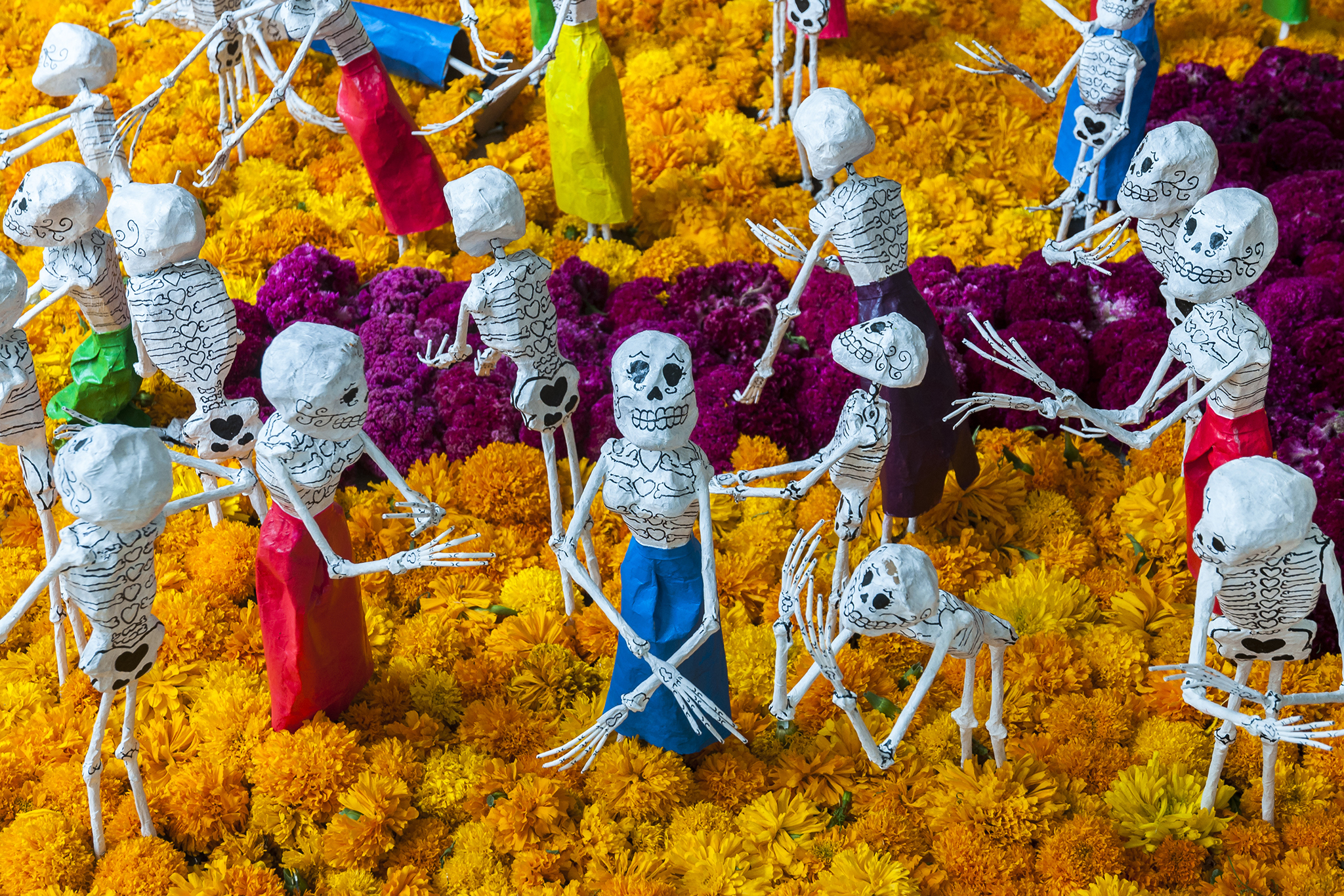Bones and Skeletons for Holloween | Things to do in Chicago