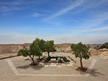 The Negev - the best things to do down south in Israel's desert