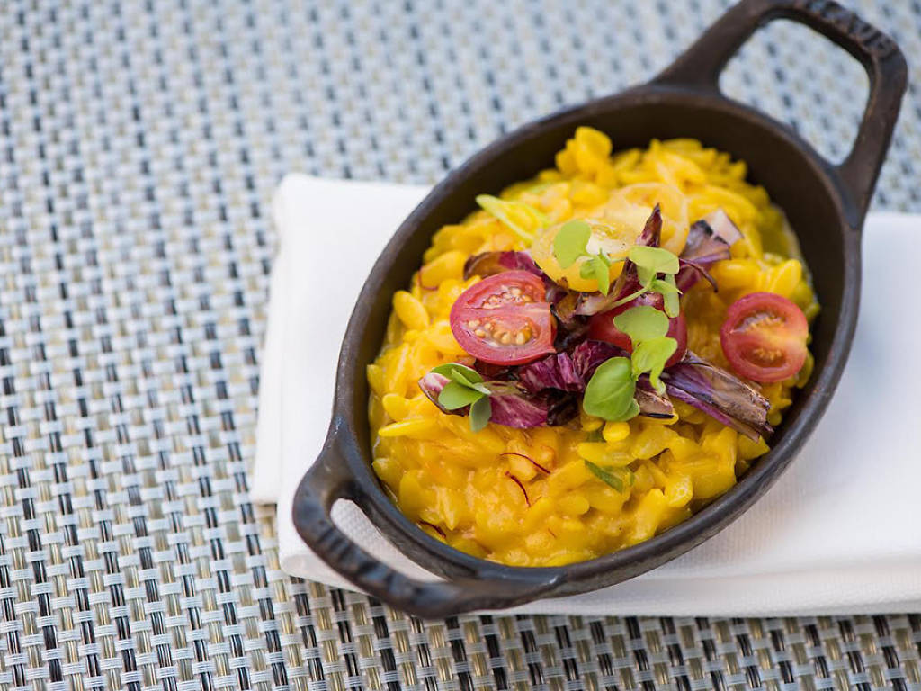 45 Best Restaurants in DC to Try This Year