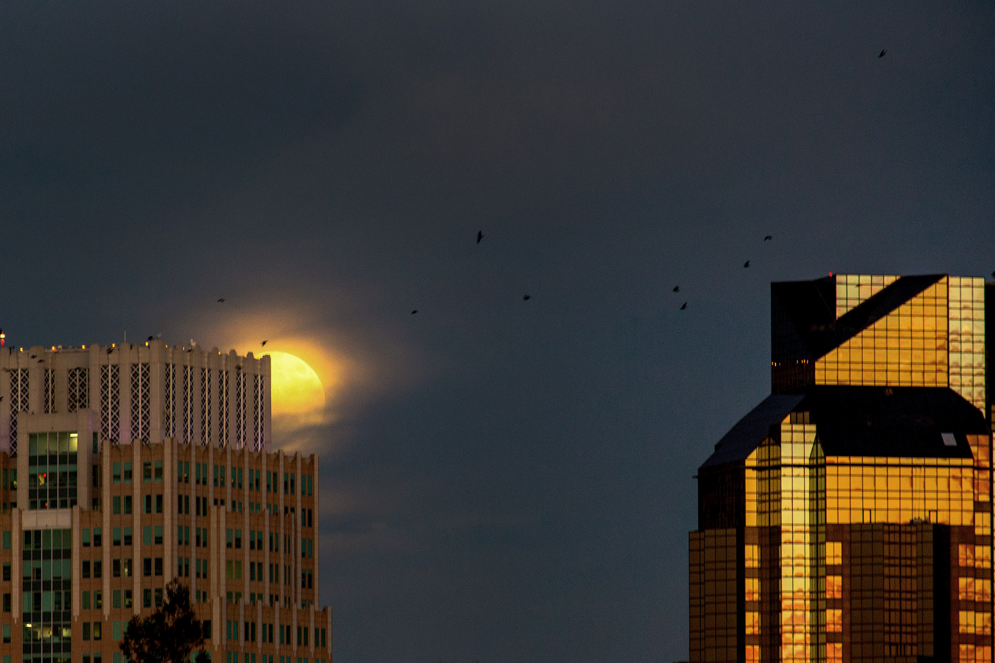 See what the largest supermoon in 68 years looked like across the world