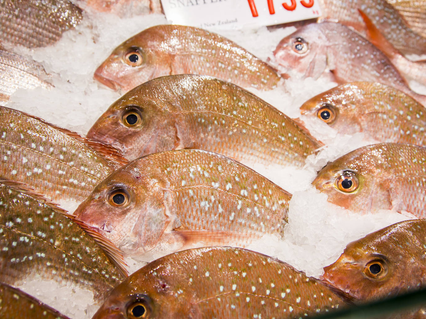 14 most overrated things in Sydney