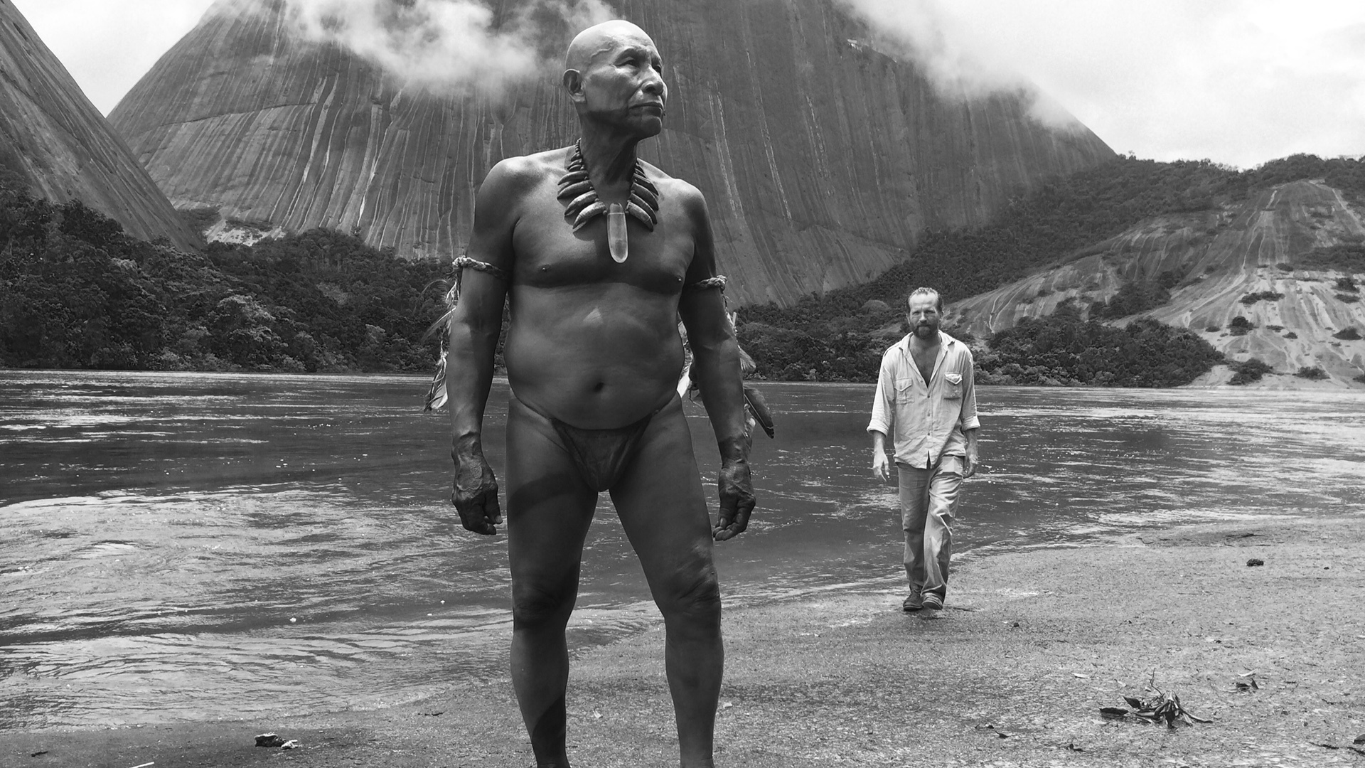 The Best Films Of 2016 Time Out Film