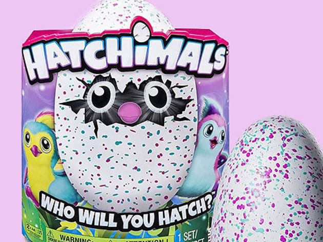 How to get your hands on Hatchimals, this season's biggest toy craze