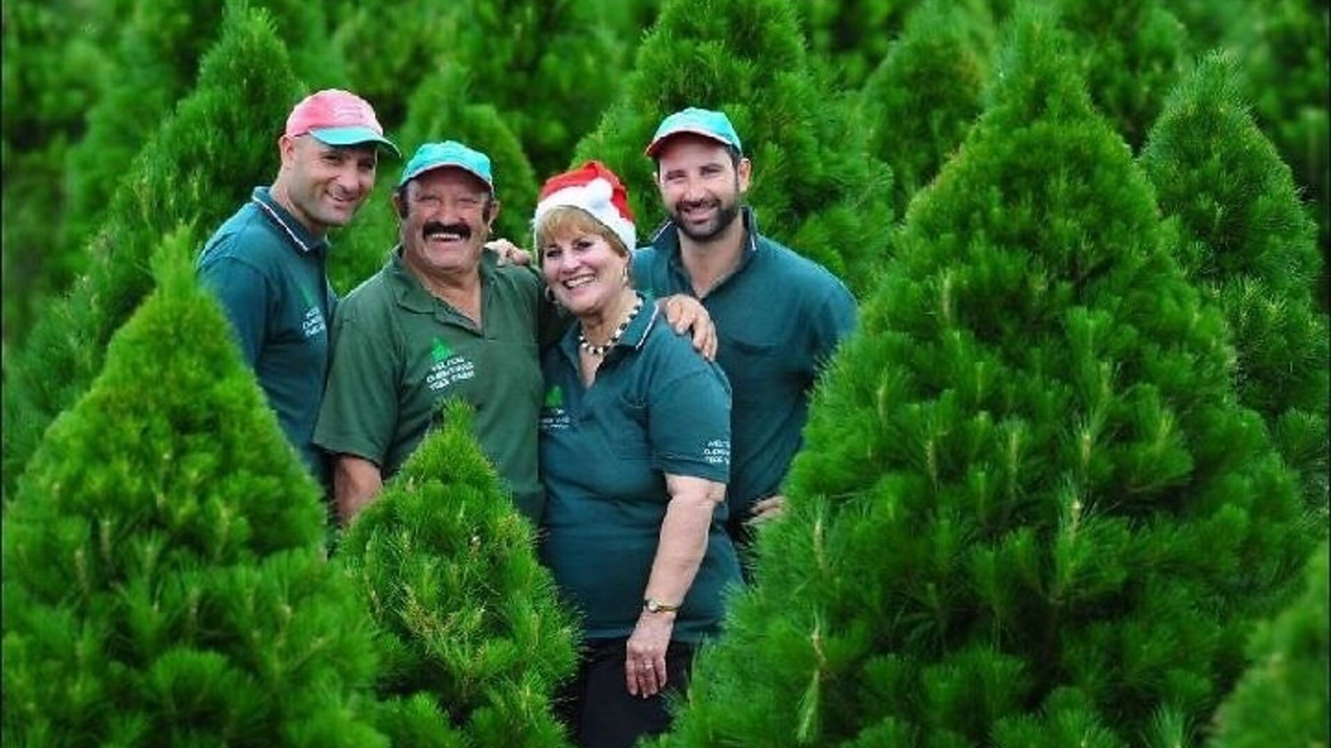Where to buy real Christmas trees in Melbourne, including delivery options