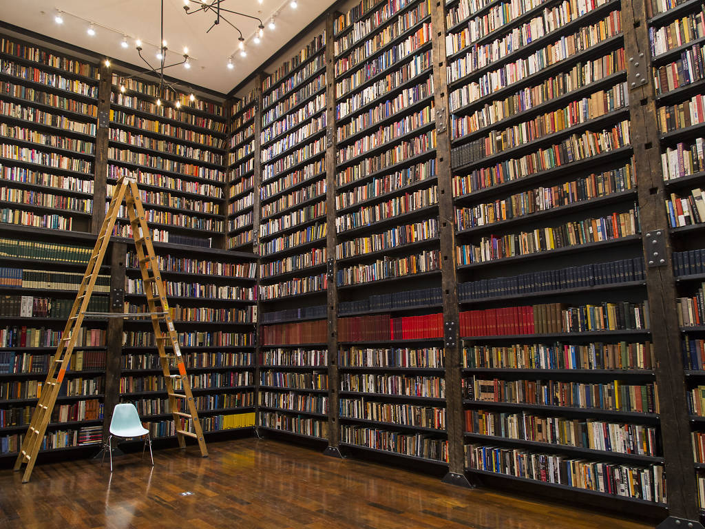 9 Absolutely Beautiful Libraries In Chicago