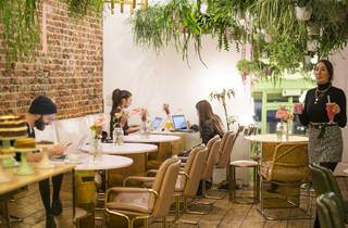 Palm Vaults | Restaurants in Hackney, London