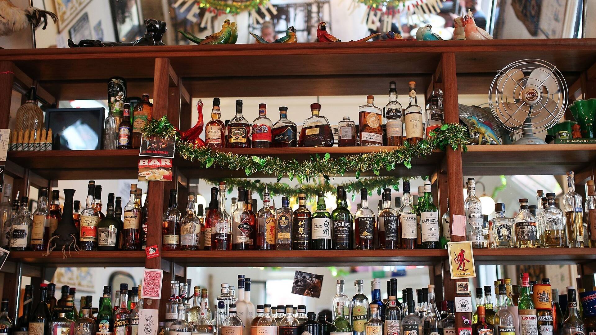 Misery Guts | Bars in St Kilda, Melbourne