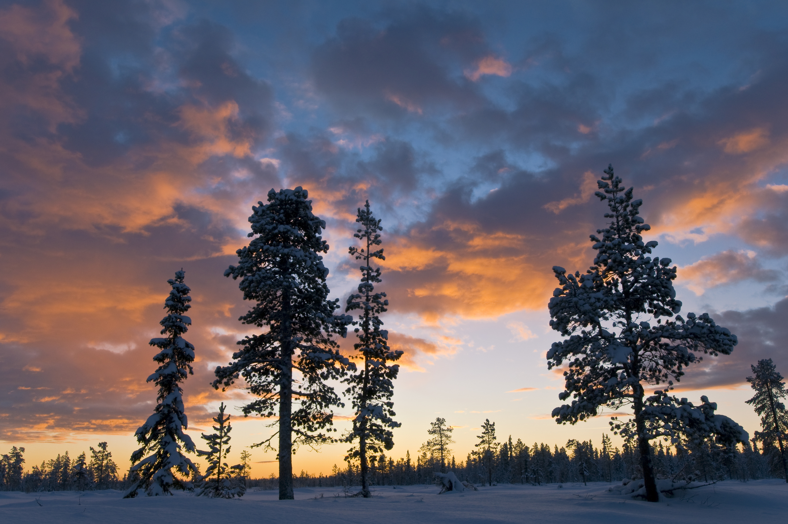 Winter solstice: Everything you need to know about the shortest day of ...