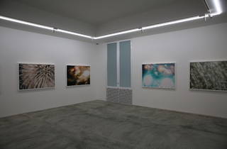 Tomio Koyama Gallery | Art in Roppongi, Tokyo