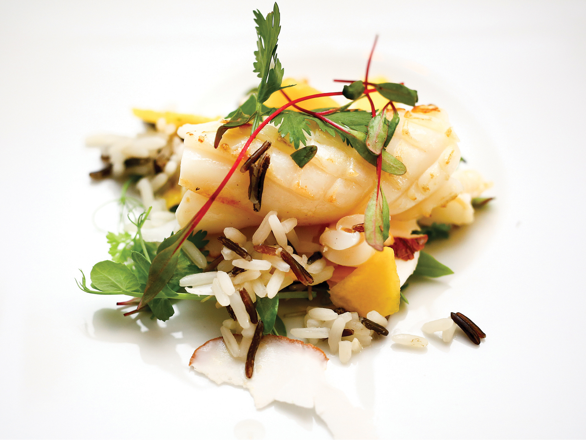 Os melhores restaurantes de cozinha de autor em Lisboa para comer como ...