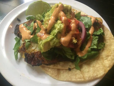 15 Best Tacos in Austin From Food Trucks and Mexican Restaurants