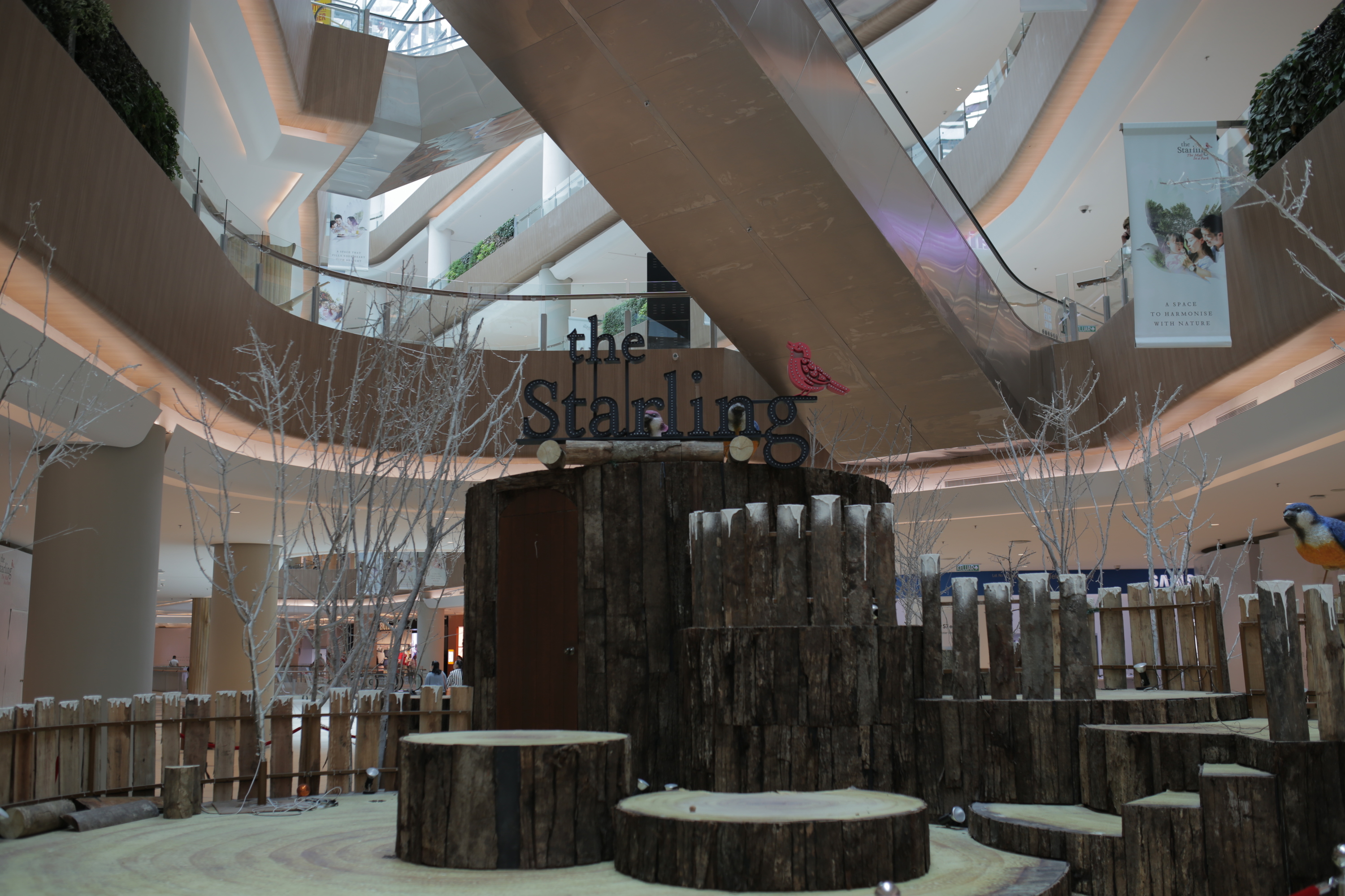 Damansara Utama area guide