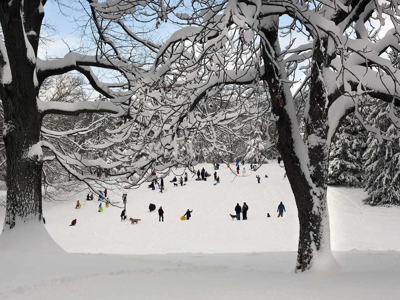 8 Great Places To Go Sledding NYC And Where To Drink After