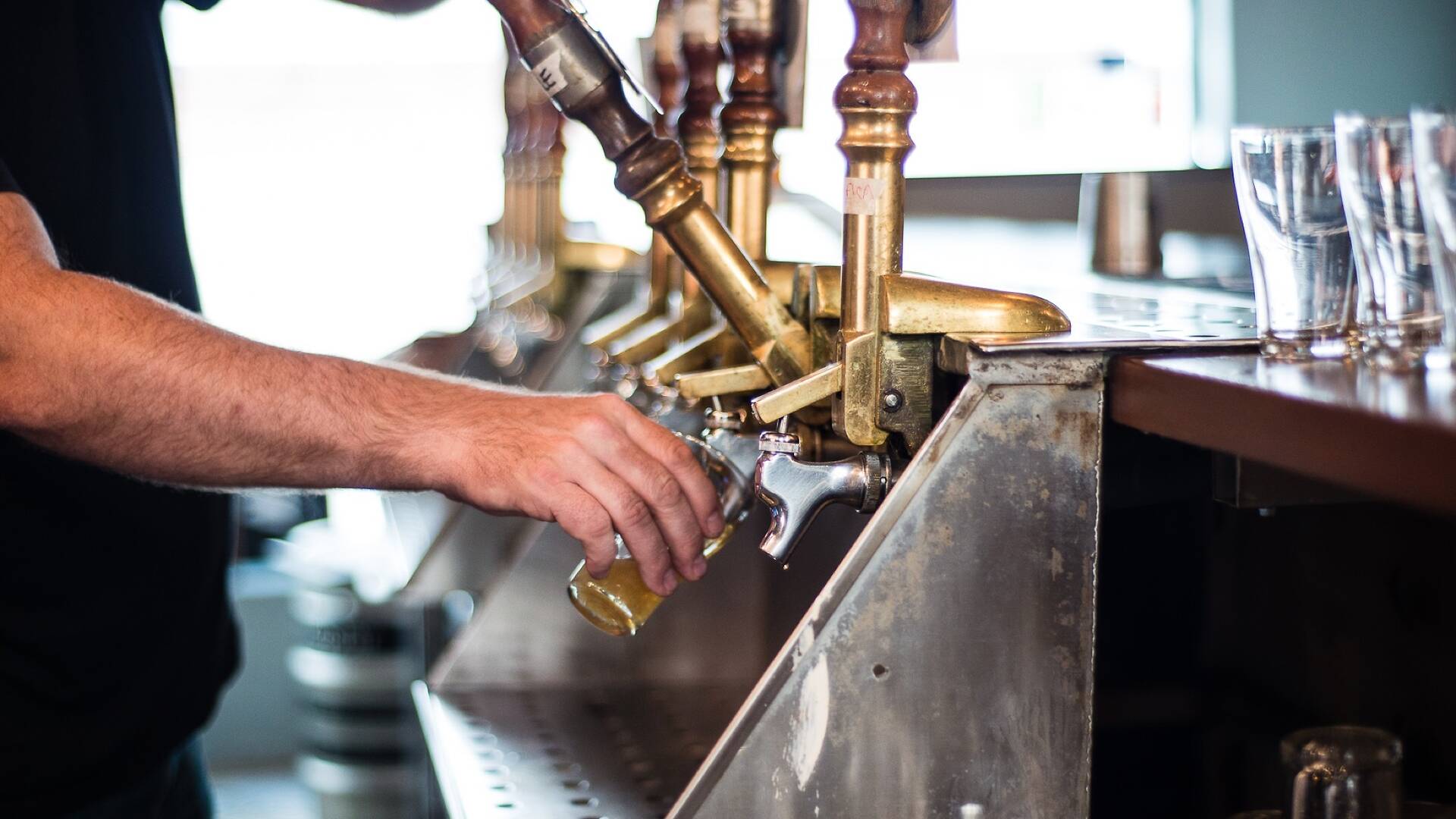 Staves Brewery | Bars in Glebe, Sydney