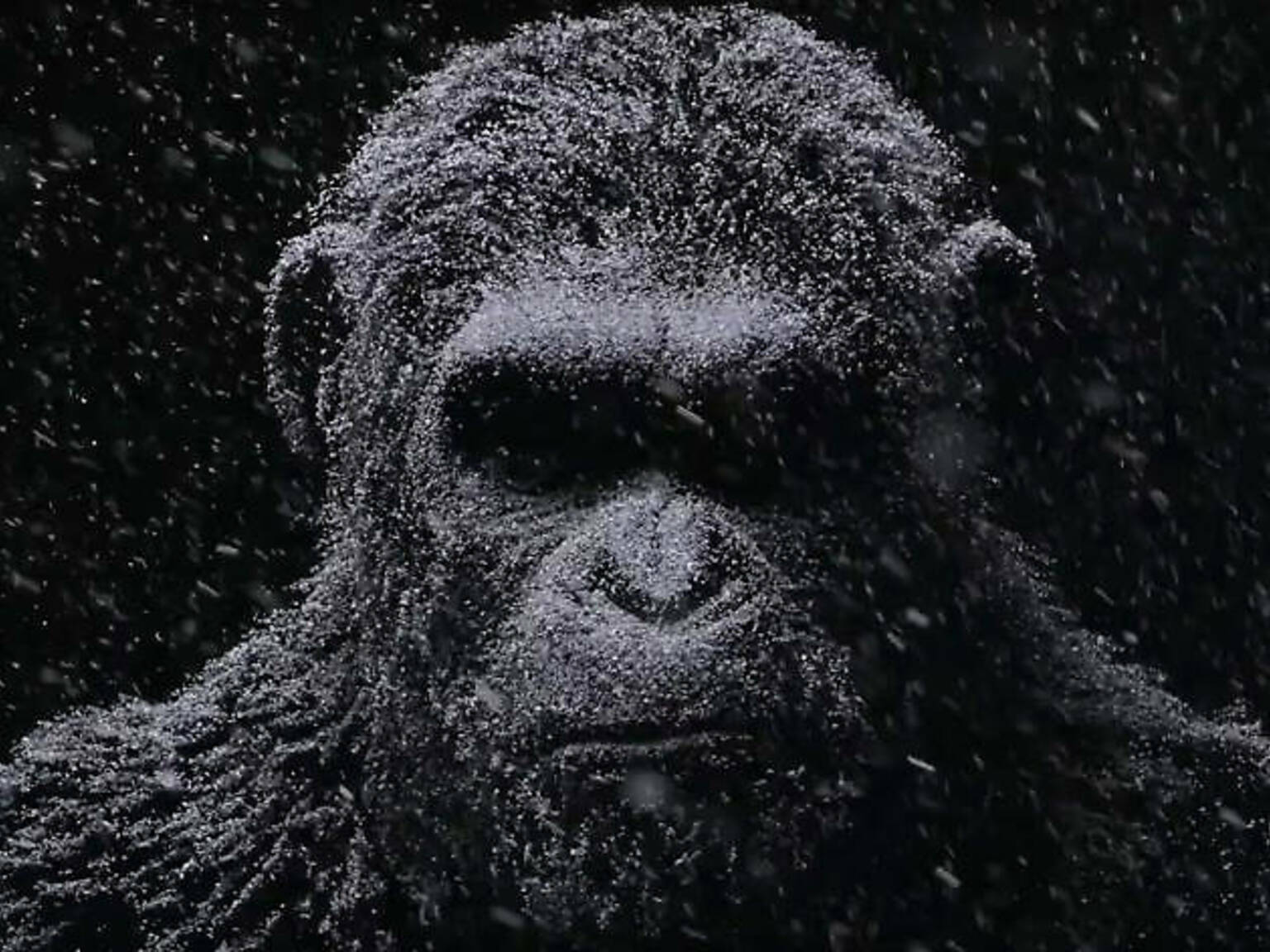 2017 movie releases in France - the best upcoming movies - Time Out Paris