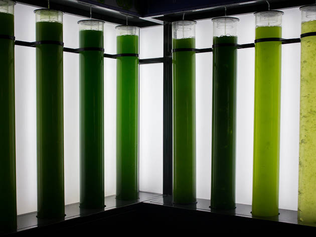 Laboratorio Submarino Blau Life