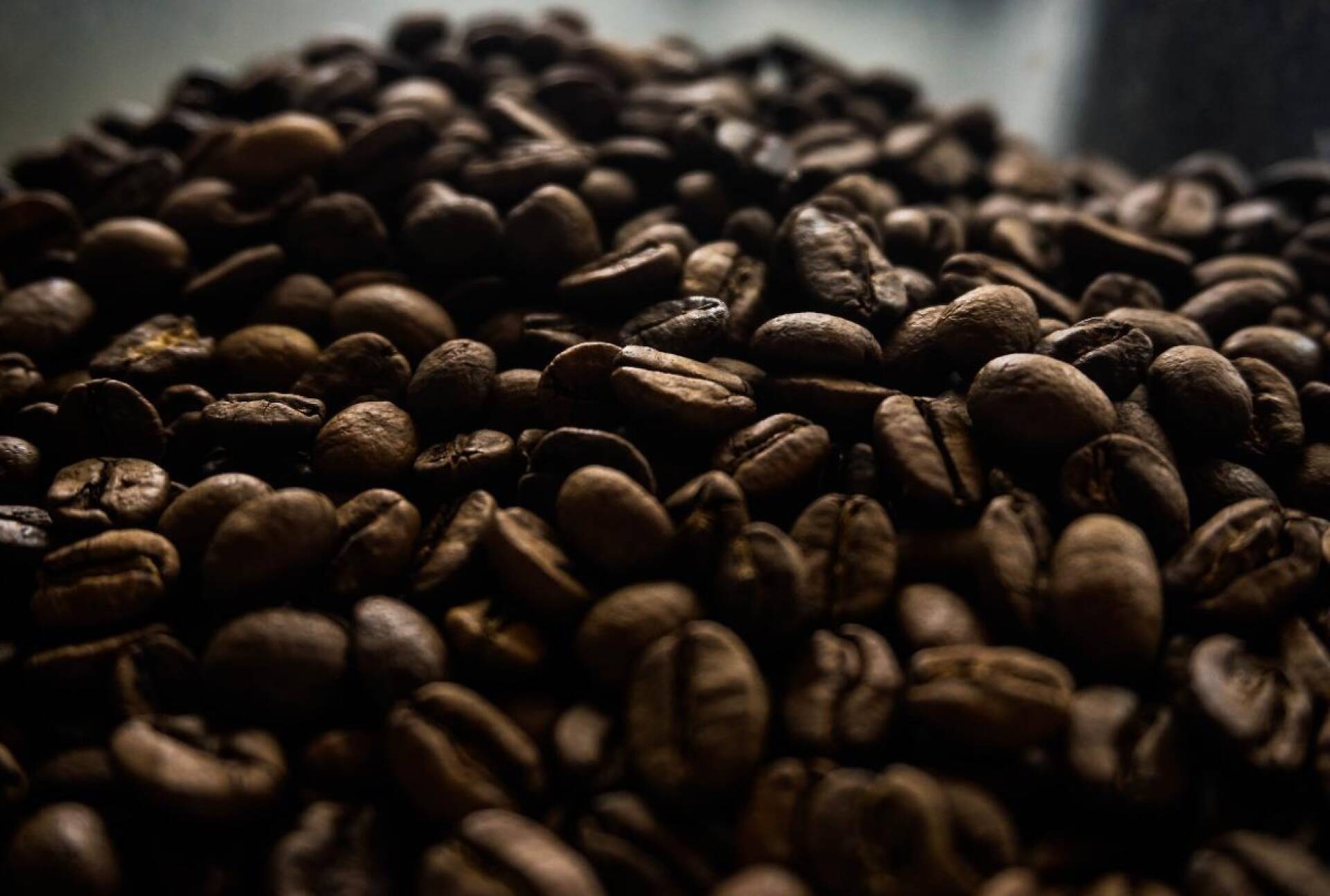 Locally-roasted coffee beans for an L.A.-made pick-me-up