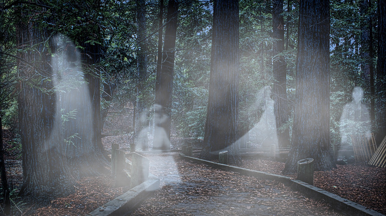 LDN Talks @ Night - The Science of Paranormal Activity