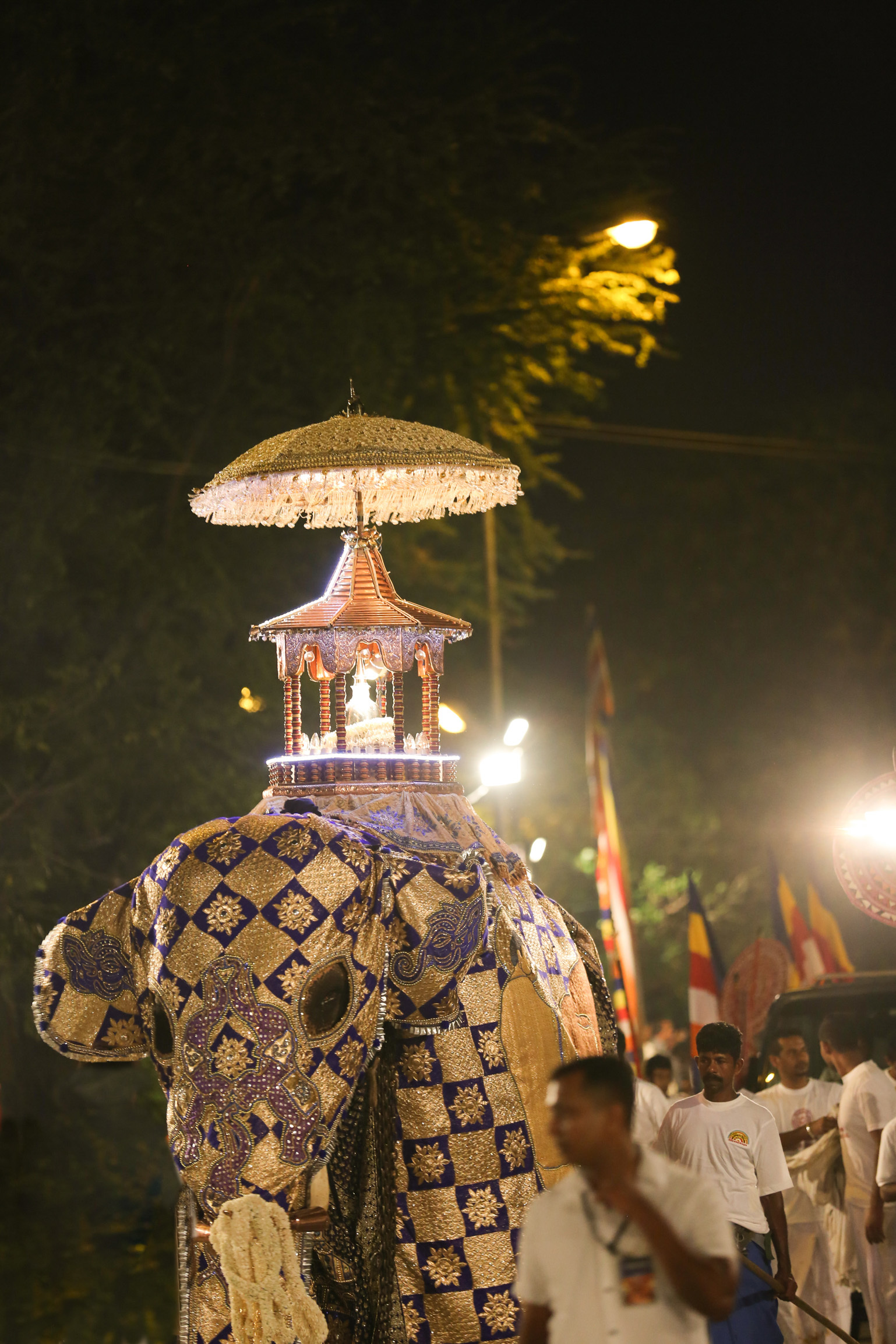 Navam Maha Perahera