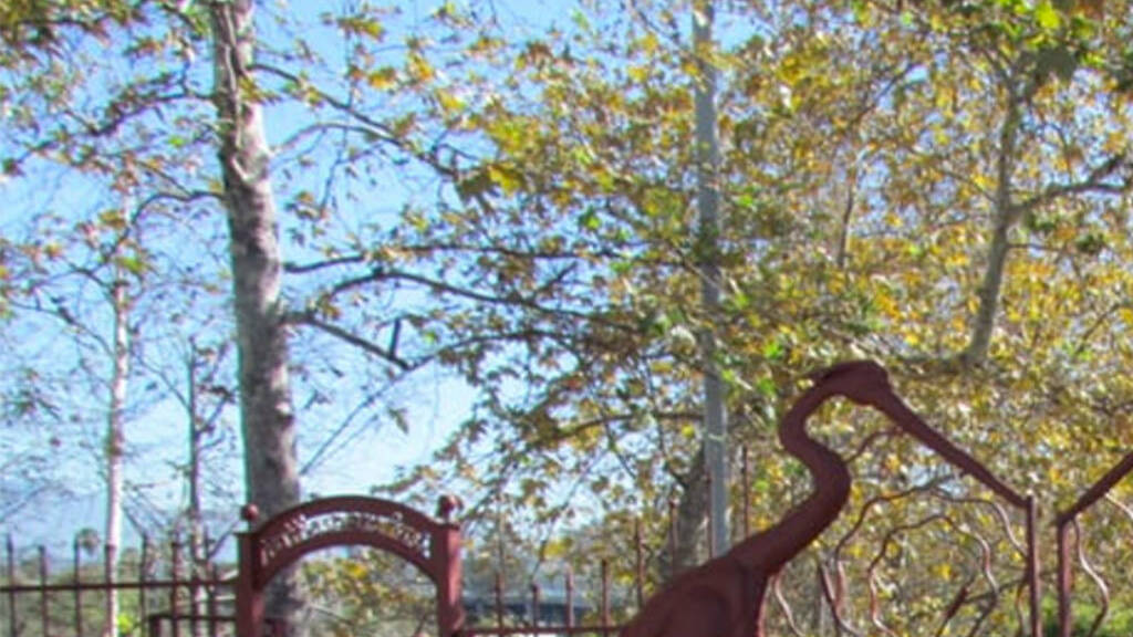 A guide to Frogtown restaurants, coffee shops and things to do