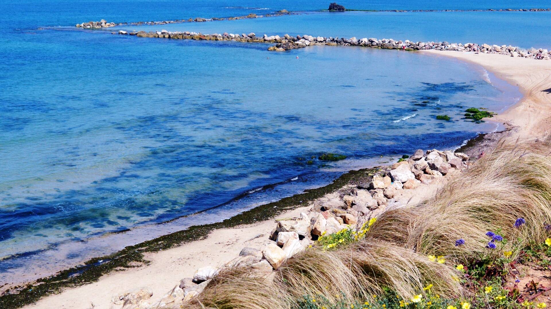 Tayo Beach | Restaurants in Rishon LeTsion, Israel