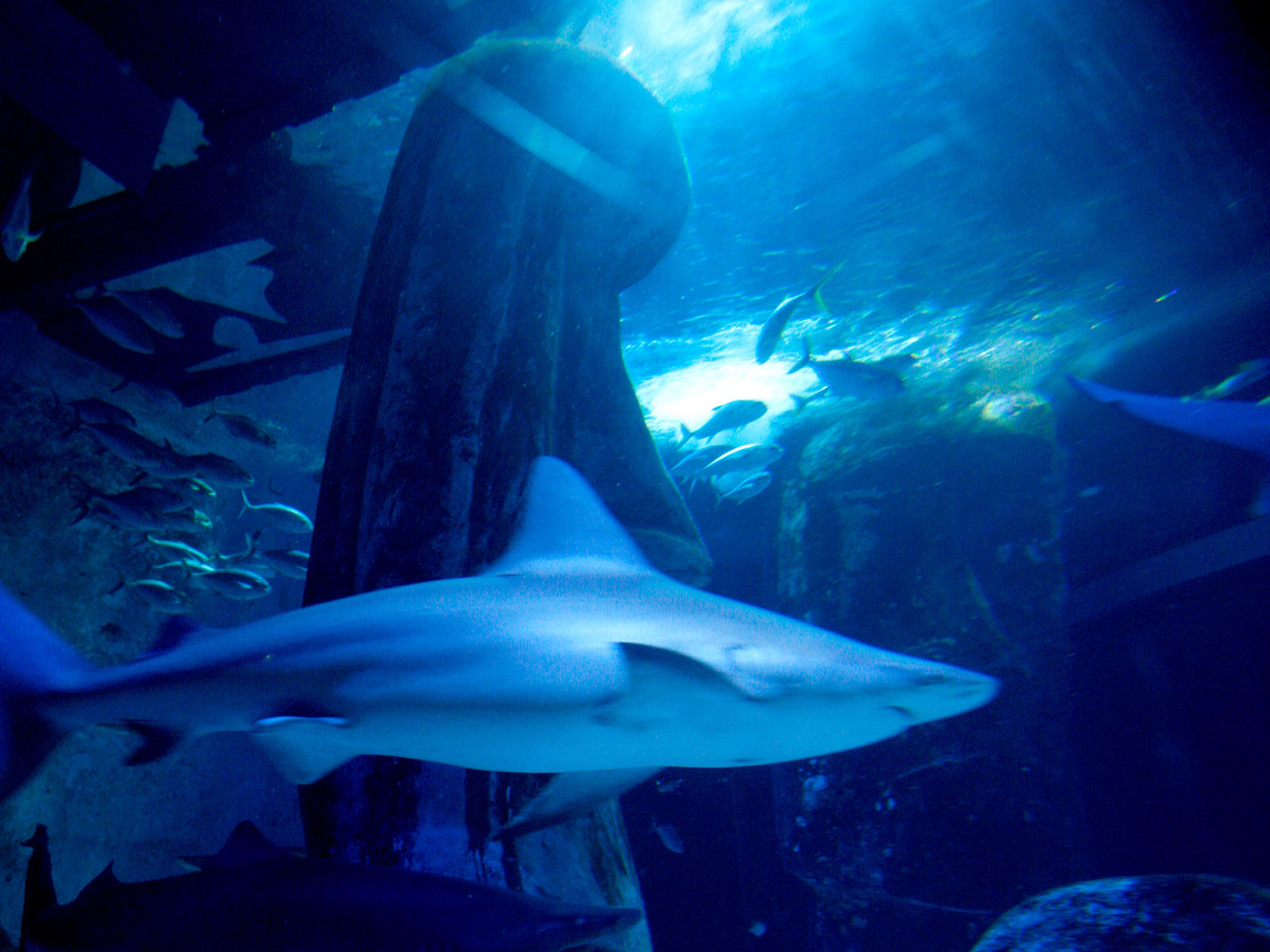 Birthday ideas for girlfriends in London, from art passes to spas ...