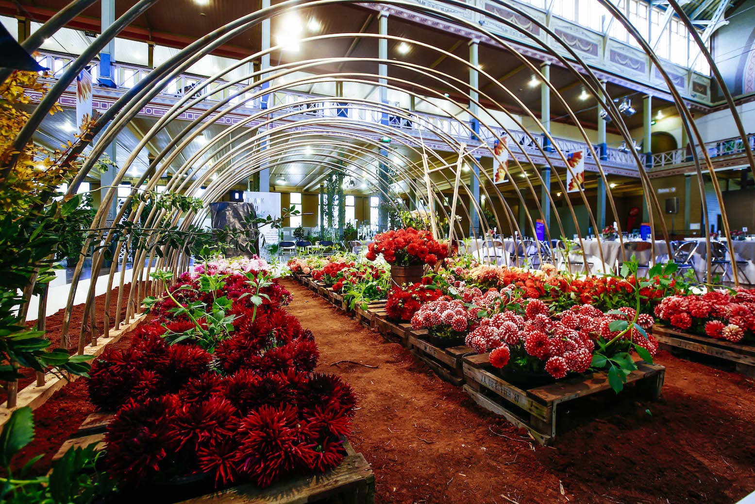 What s On Melbourne Melbourne Events Calendar