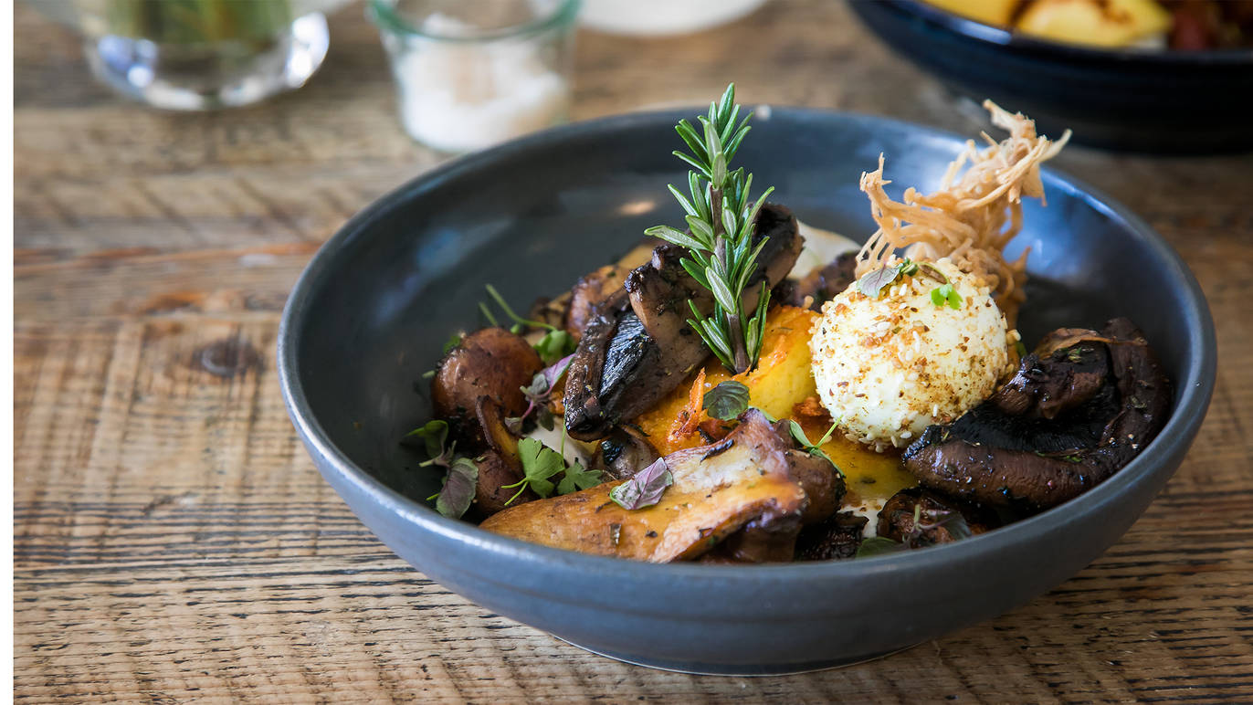 Porch and Parlour | Restaurants in Bondi Beach, Sydney