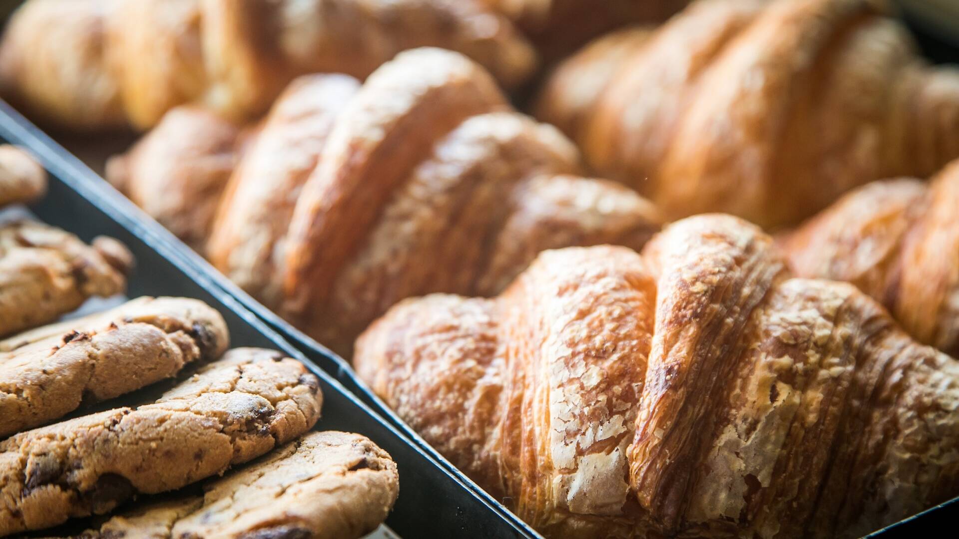 Harry's Bondi | Restaurants in Bondi Beach, Sydney