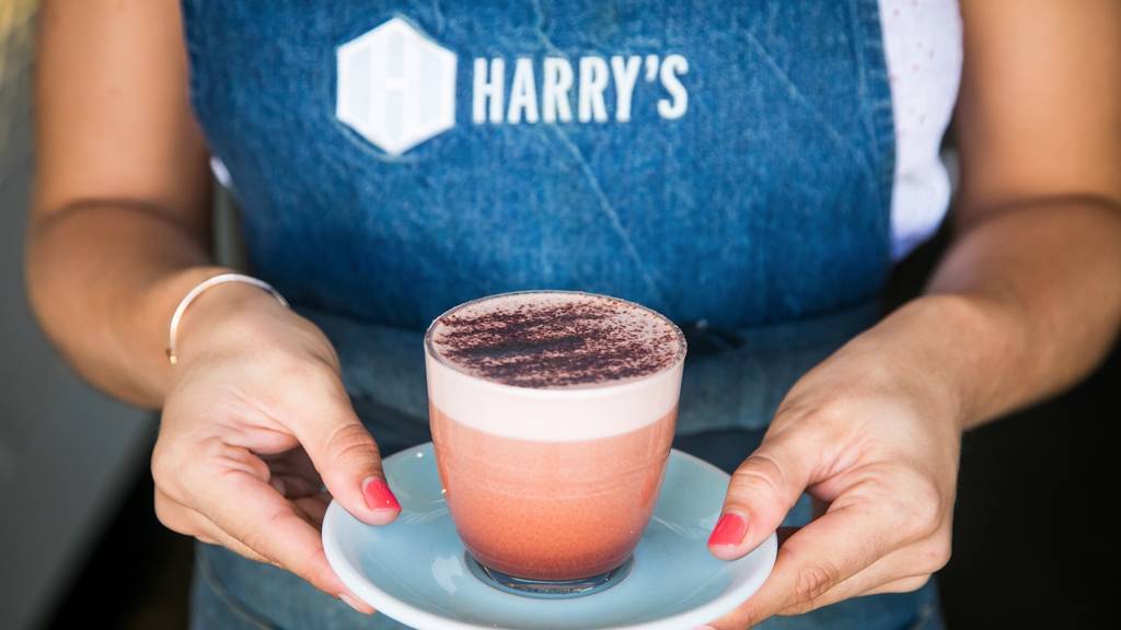 Harry's Bondi | Restaurants in Bondi Beach, Sydney