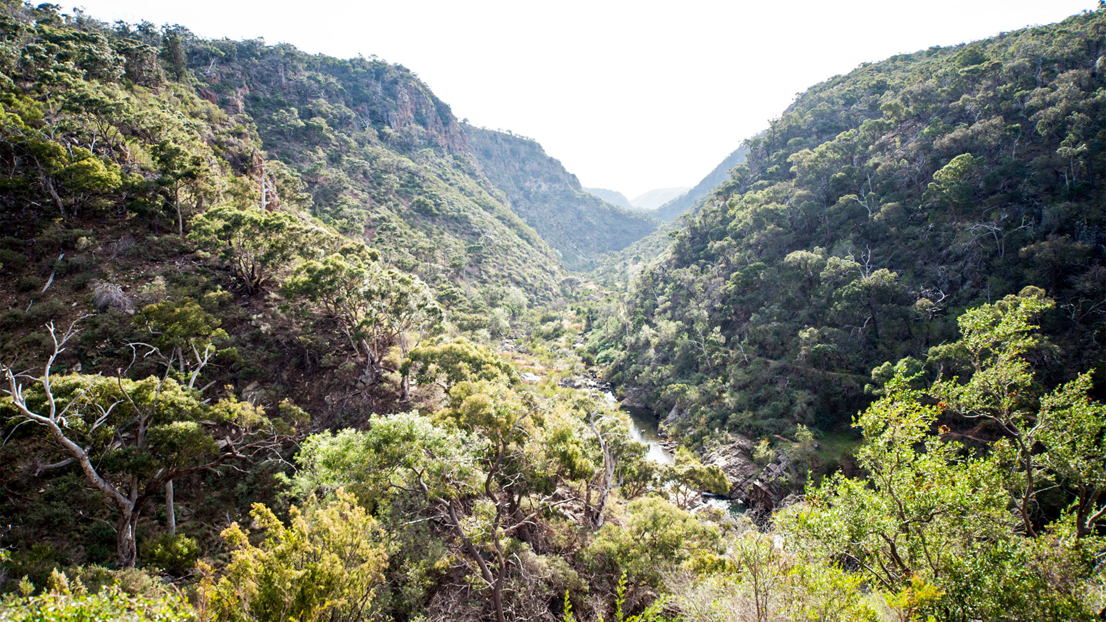 Werribee Gorge Circuit Walk | Things to do in Melbourne