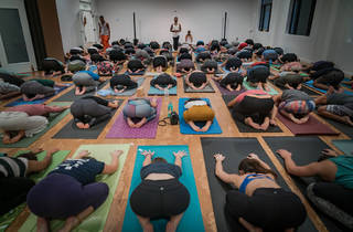 Best yoga studios in Miami, from Coral Gables to South Beach