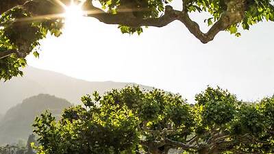 The village of Ascona | Things to do in Ascona, Switzerland